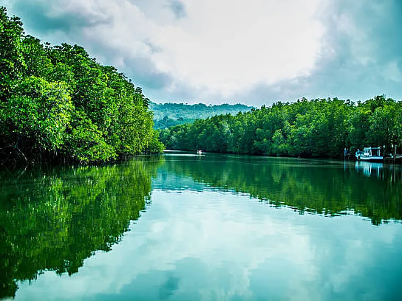 Nigeria's Sustainable Bond Framework… | Sustainable Stories Africa