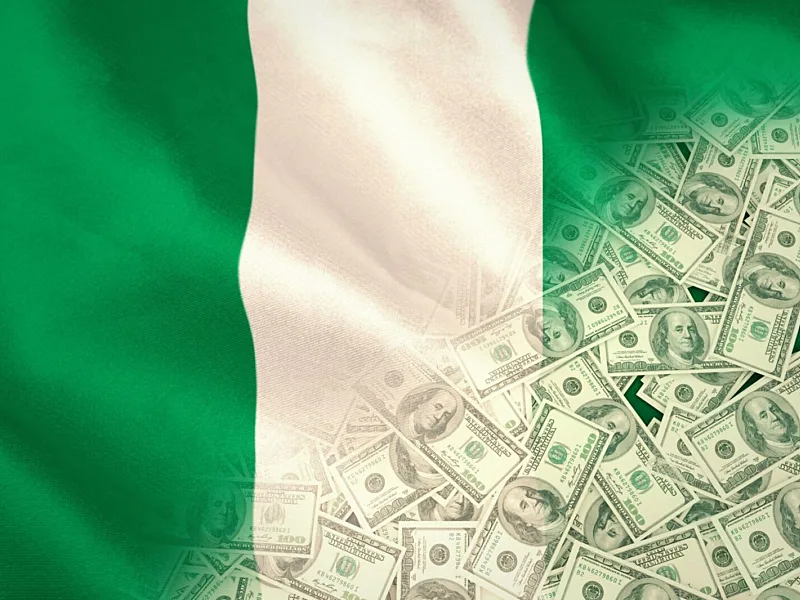 Nigeria Opens Public Consultation on… | Sustainable Stories Africa